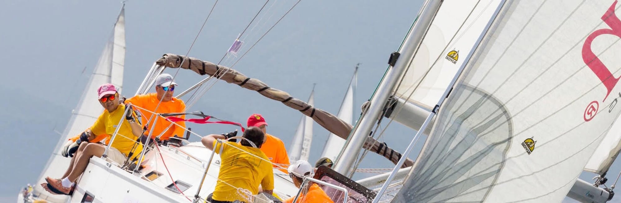 DynaSys About Us 关于我们