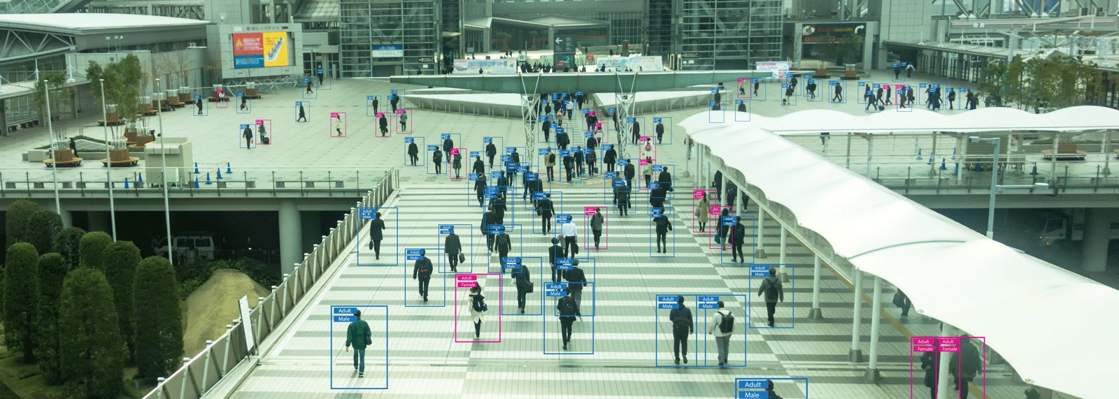 DynaSys SkyREC Retail AI Solution 零售业的人工智能系统